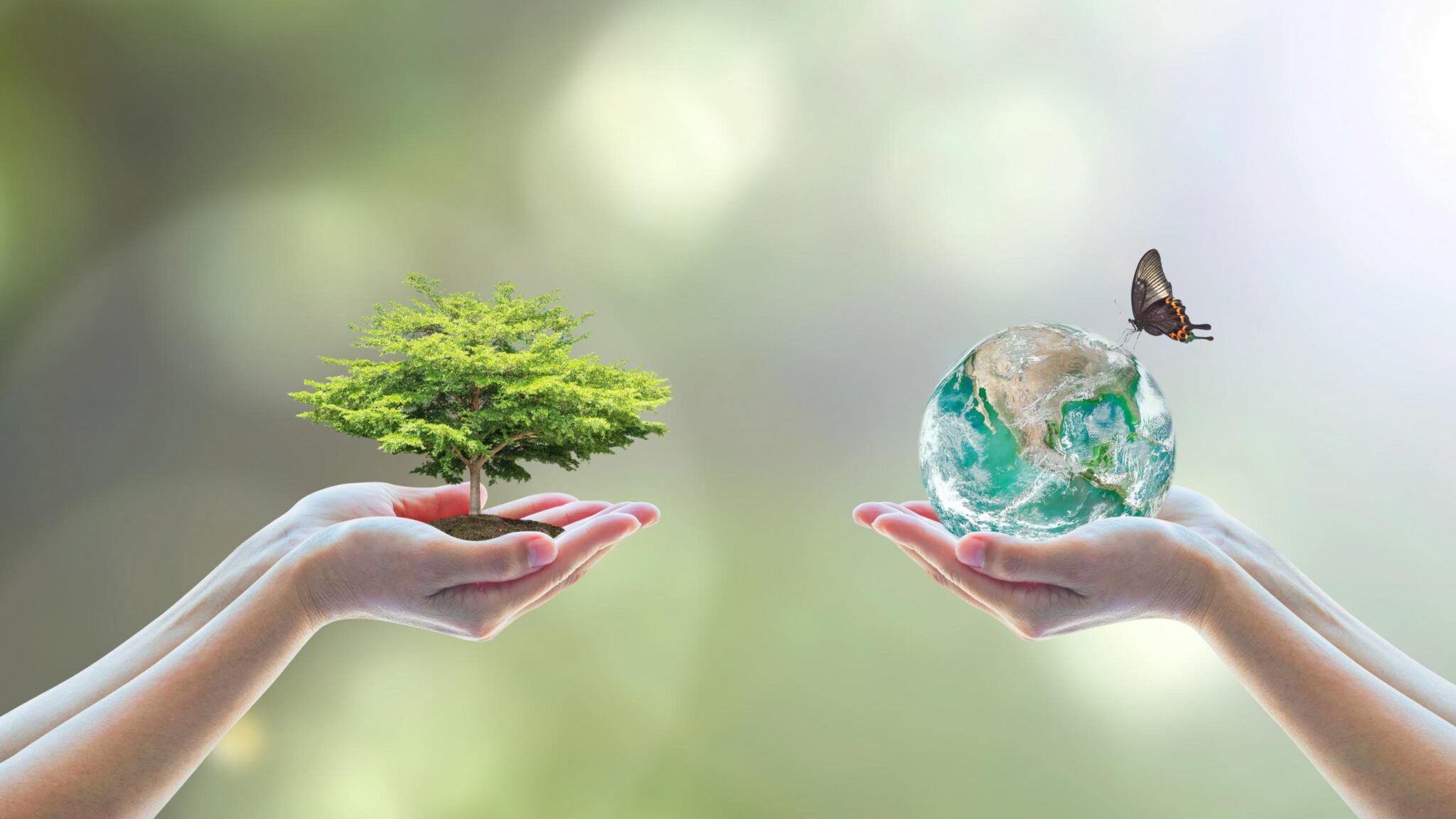 Biodiversity: The Key to Sustainability and Ecological Balance - News ...