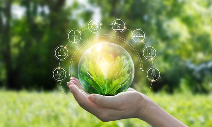 Biodiversity: The Key to Sustainability and Ecological Balance - News ...