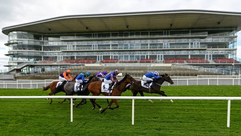 How Much Has The Horse Racing Industry Grew In 2024? - News Reporter